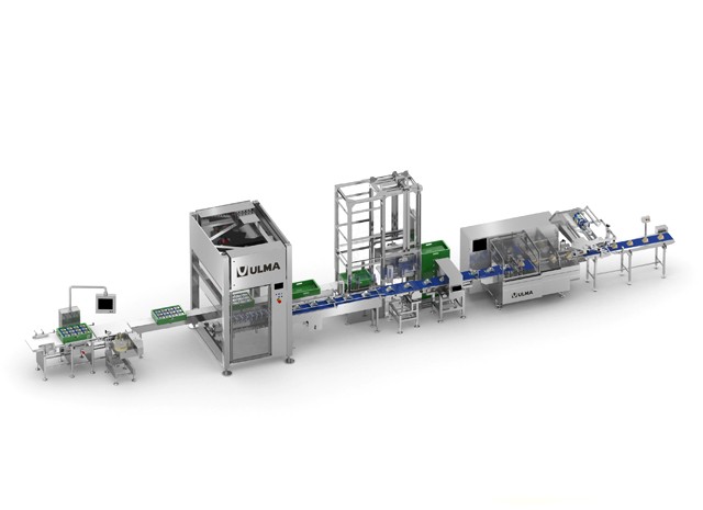Complete solution for packaging of cheese wedges in flow pack — ULMA ...