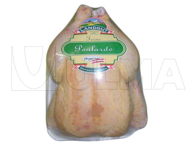 Chicken packaging in flow pack wrapper (HFFS) with modified atmosphere ...